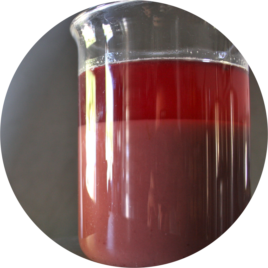 Production - Quinta dos Vales